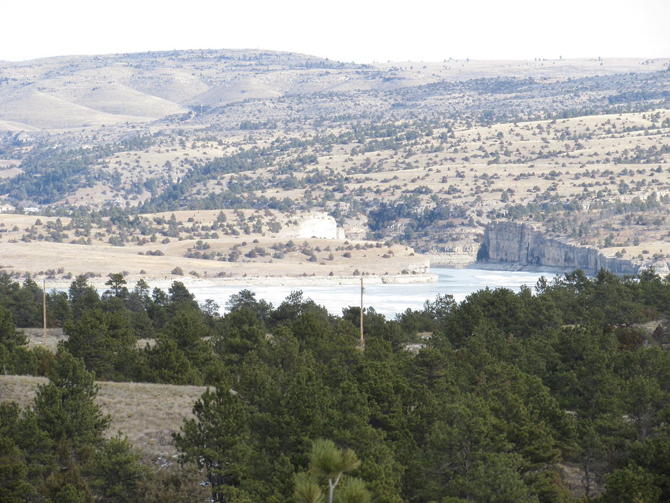 Pronghorn Development | Pronghorn Development