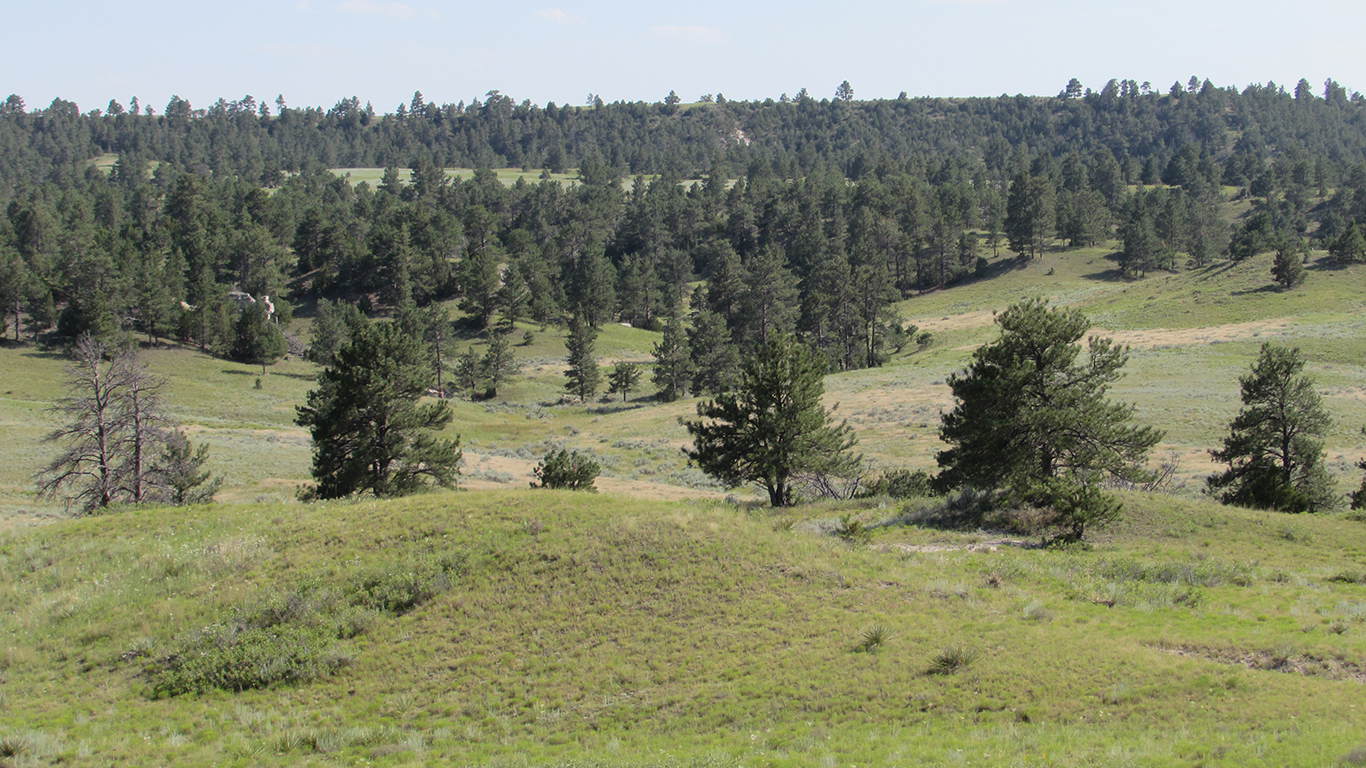 Pronghorn Development | Pronghorn Development