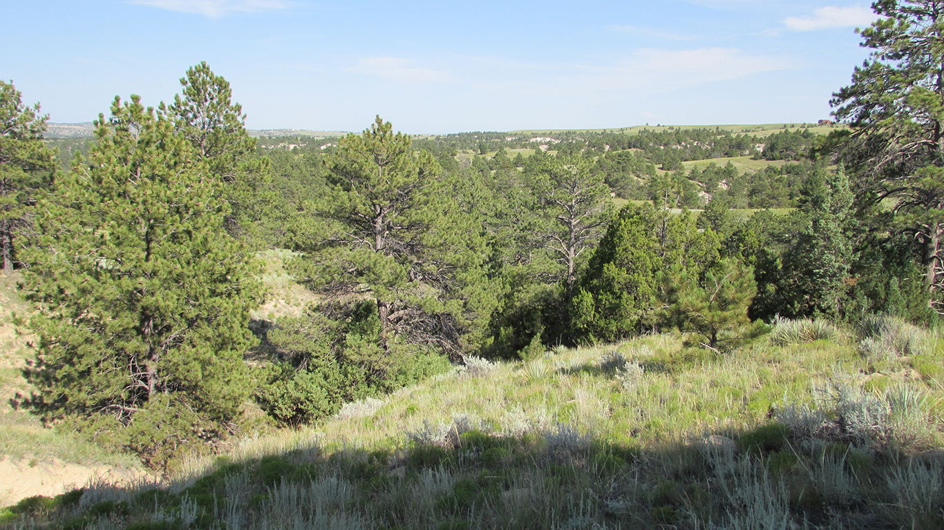 Pronghorn Development | Pronghorn Development