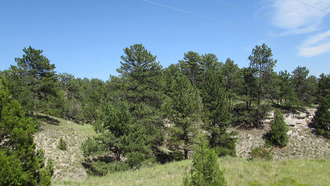 Pronghorn Development | Pronghorn Development