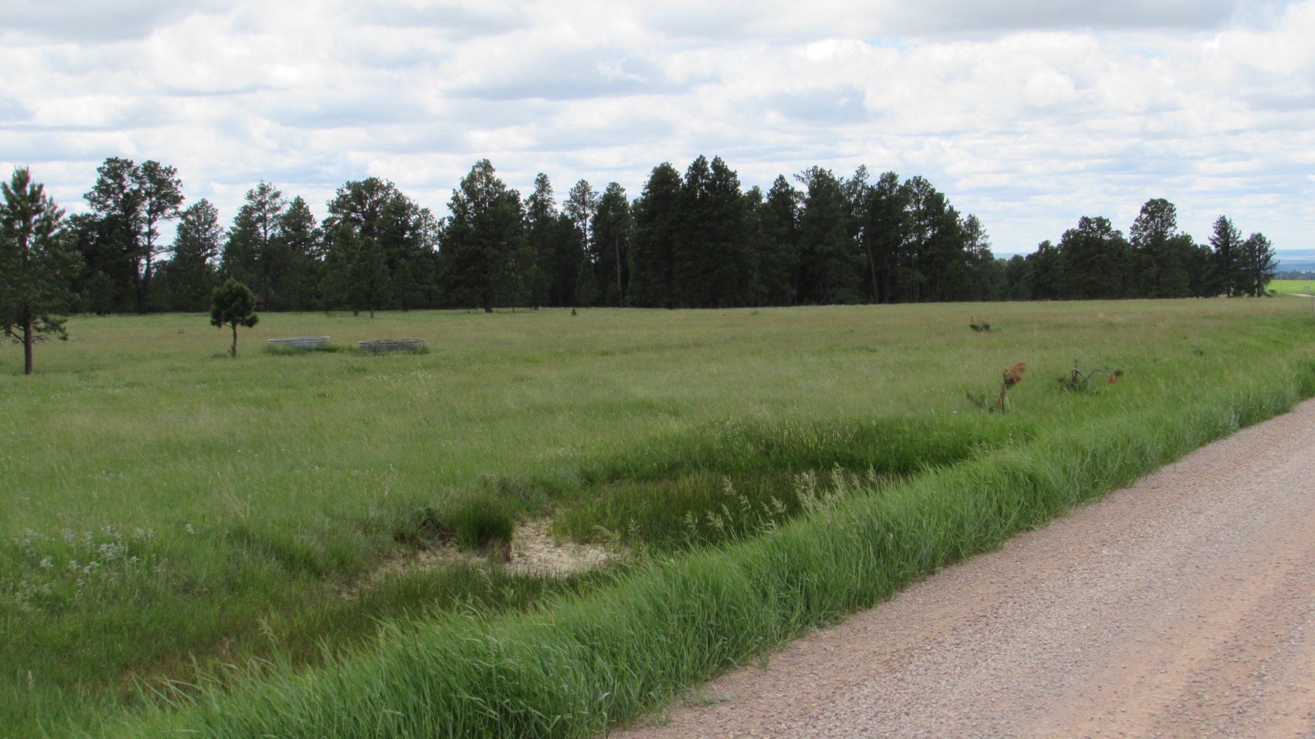 Pronghorn Development | Pronghorn Development